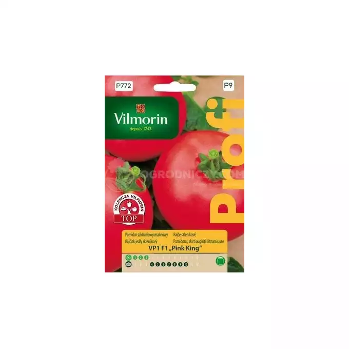 Pomidor szklarniowy VP1 F1 Pink King 15 szt VILMORIN malinowy, bardzo wczesna odmiana ...