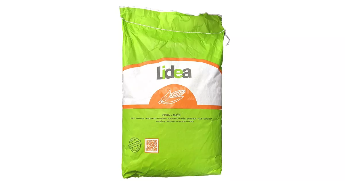 Kukurydza LID3306C C1 LIDEA FAO 260 odmiana na ziarno i bioetanol, wczesny wigor, na wsszstdkie ...